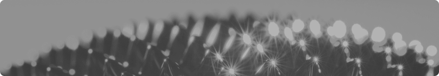 Trusted Crypto Exchange Paycot - Bitcoin, Ethereum & More